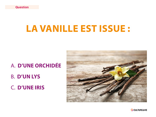 Ressource - CULTUREàVIE